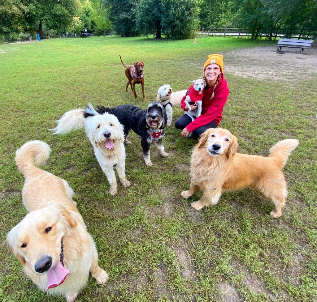 Eglinton Dog Walker | Awesome Adventure Walks & Play